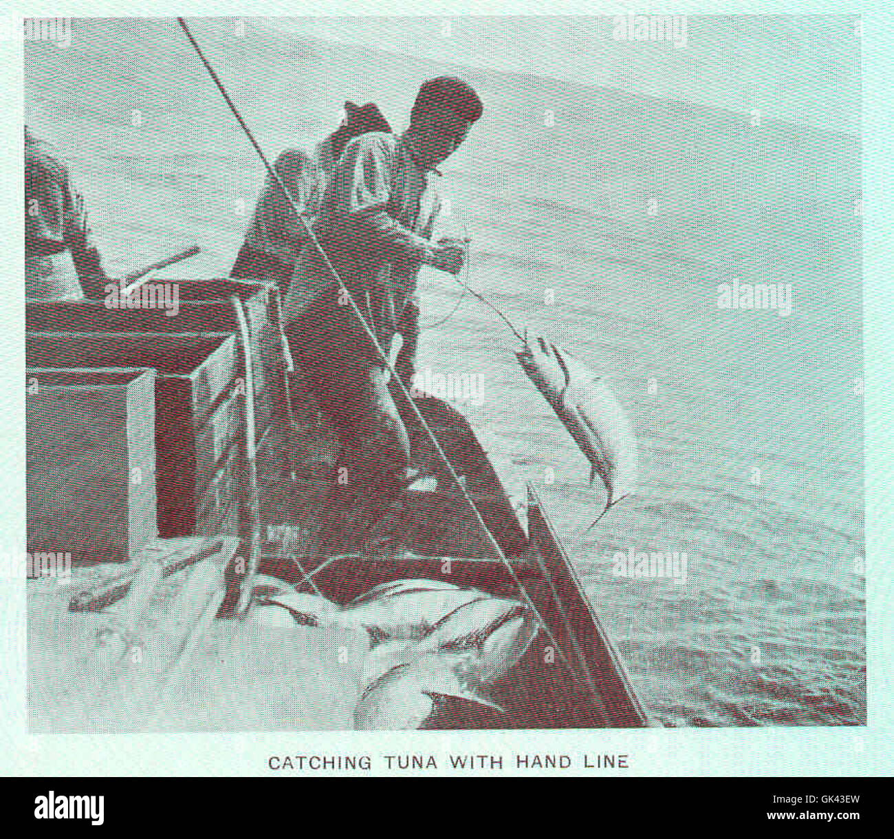 Catching tuna with a hand line is a traditional and sustainable fishing ...
