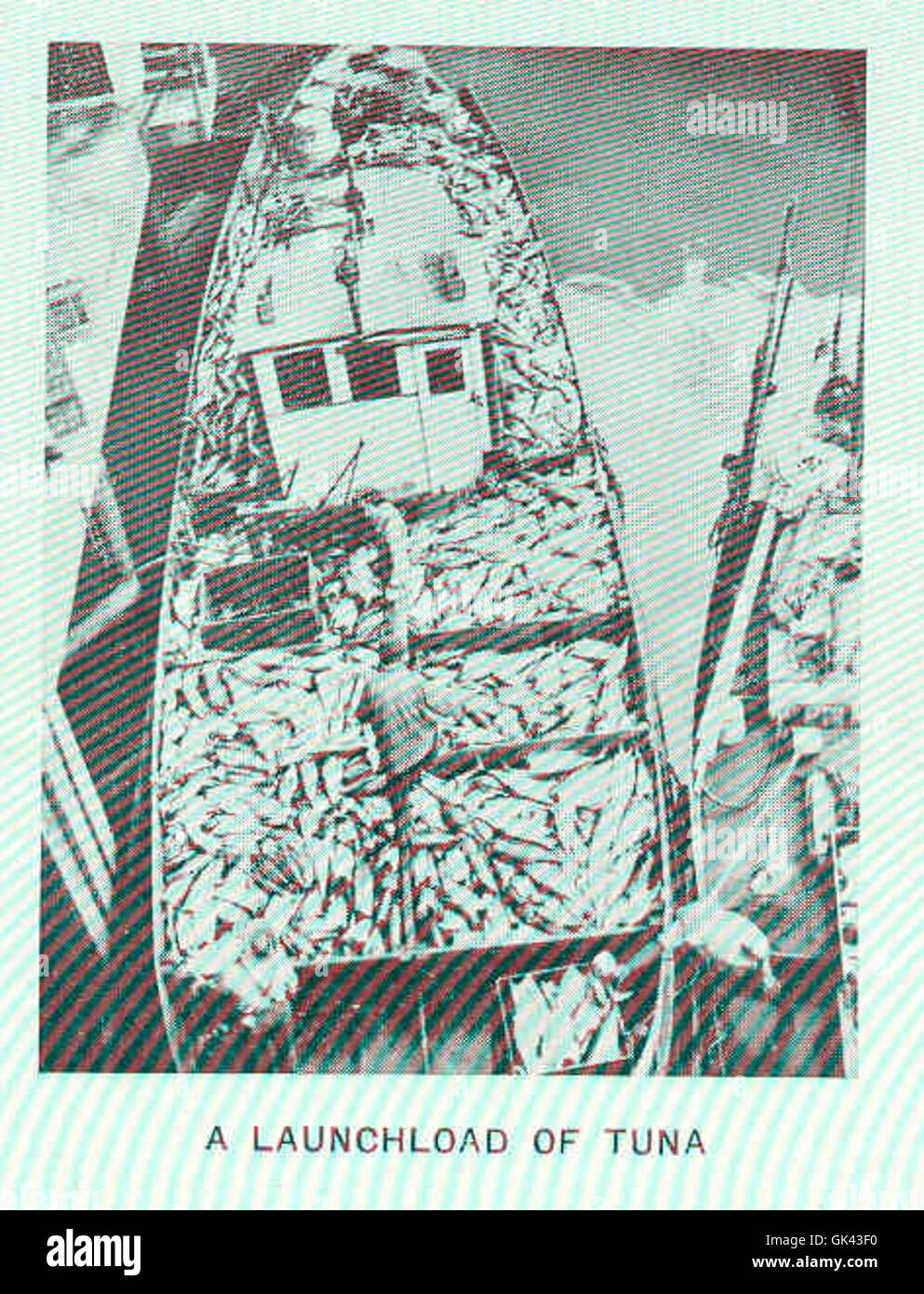 Ancient tuna hi-res stock photography and images - Alamy