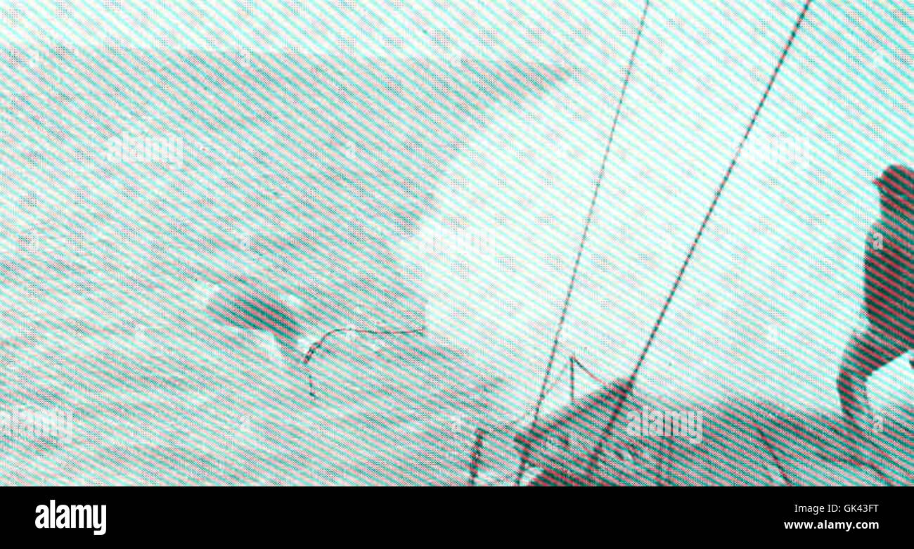 This historical image captures a harpoon as it strikes a whale ...