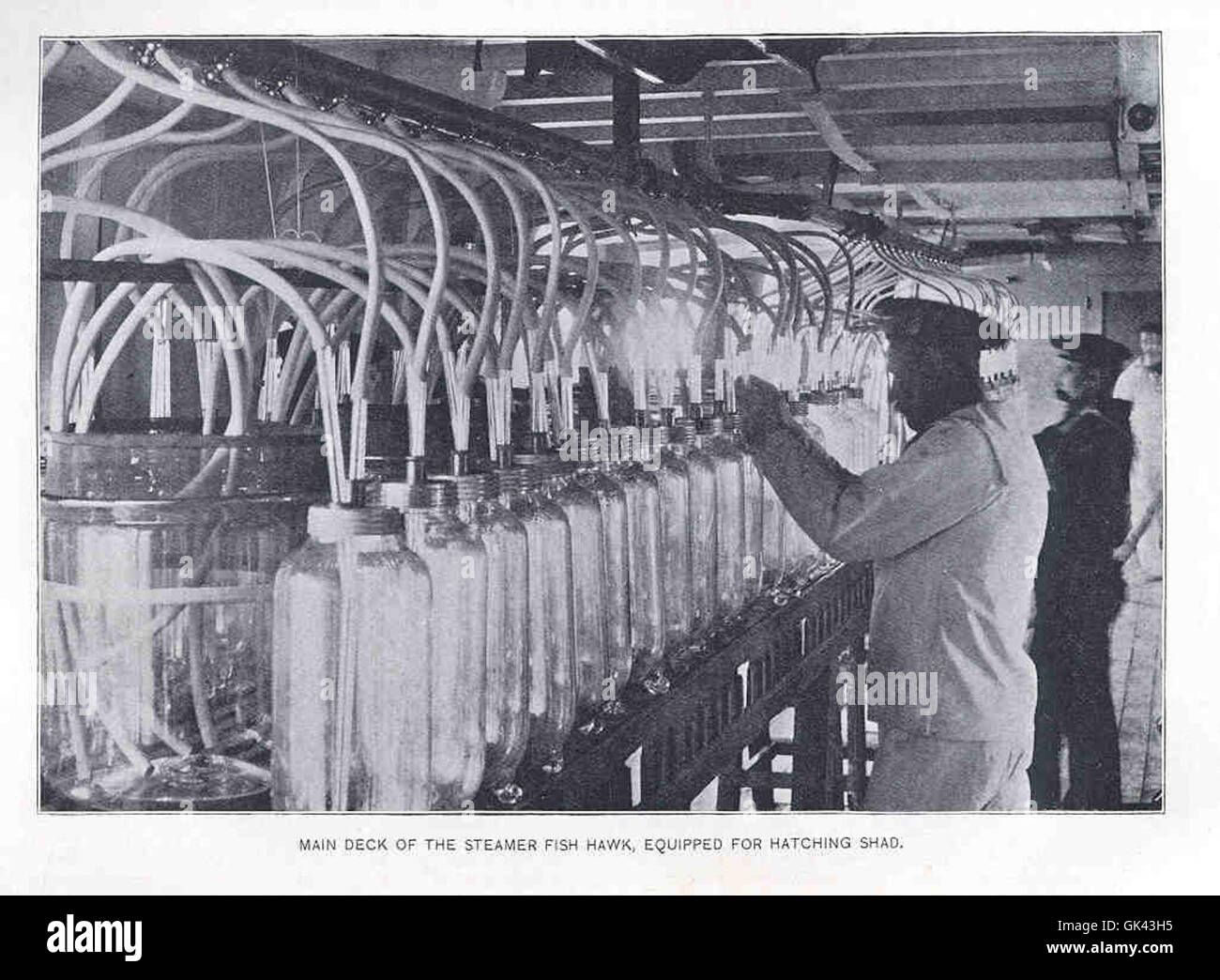 The image shows the main deck of the steamer Fish Hawk, a vessel used ...