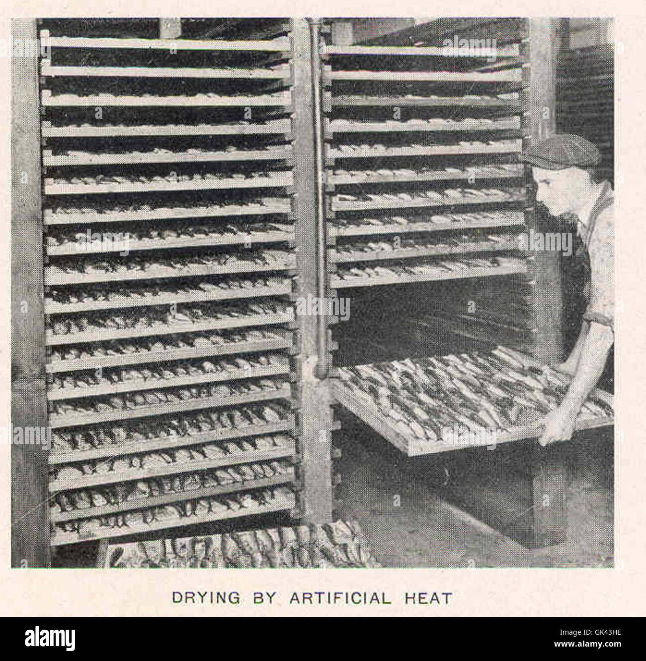 Drying by artificial heat is a method used to preserve various ...