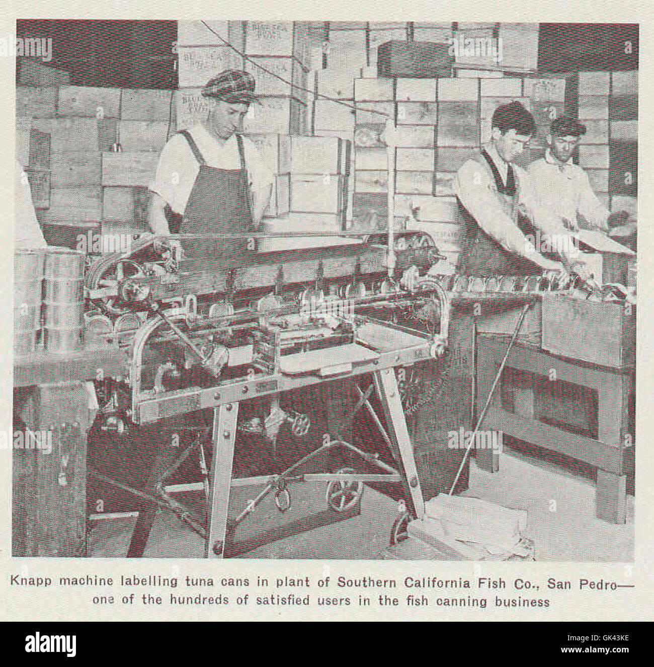 The Knapp Machine is shown labeling tuna cans at the Southern ...