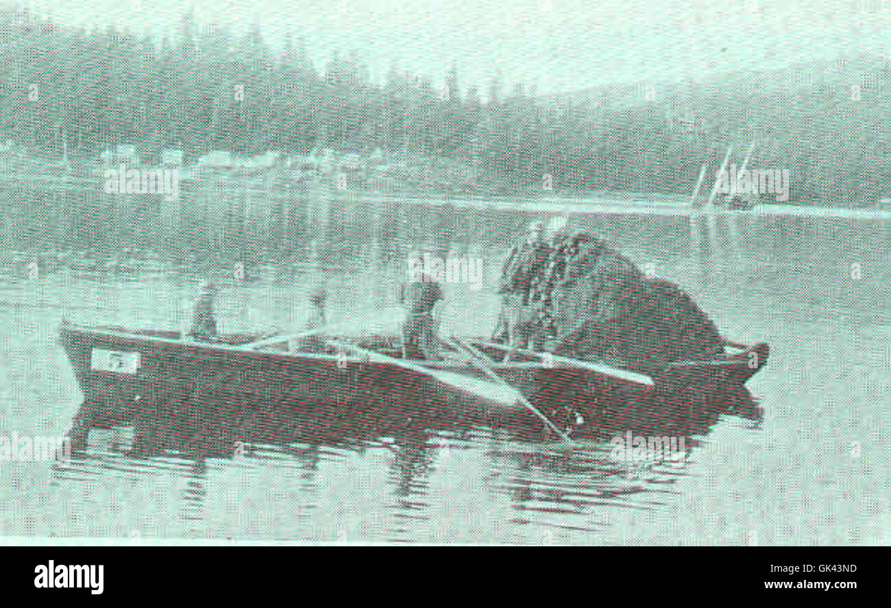 This image shows a traditional purse seine boat used by Indigenous ...