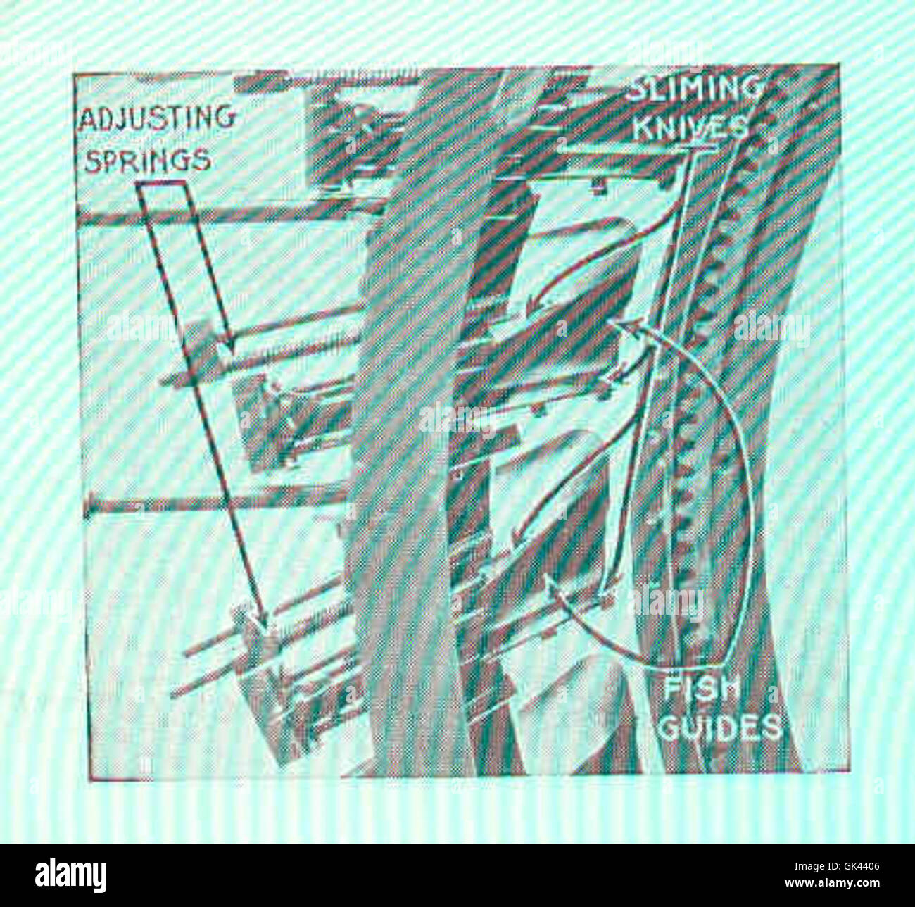 The 1918 'Iron Chink' Model D was an agricultural machine designed to ...