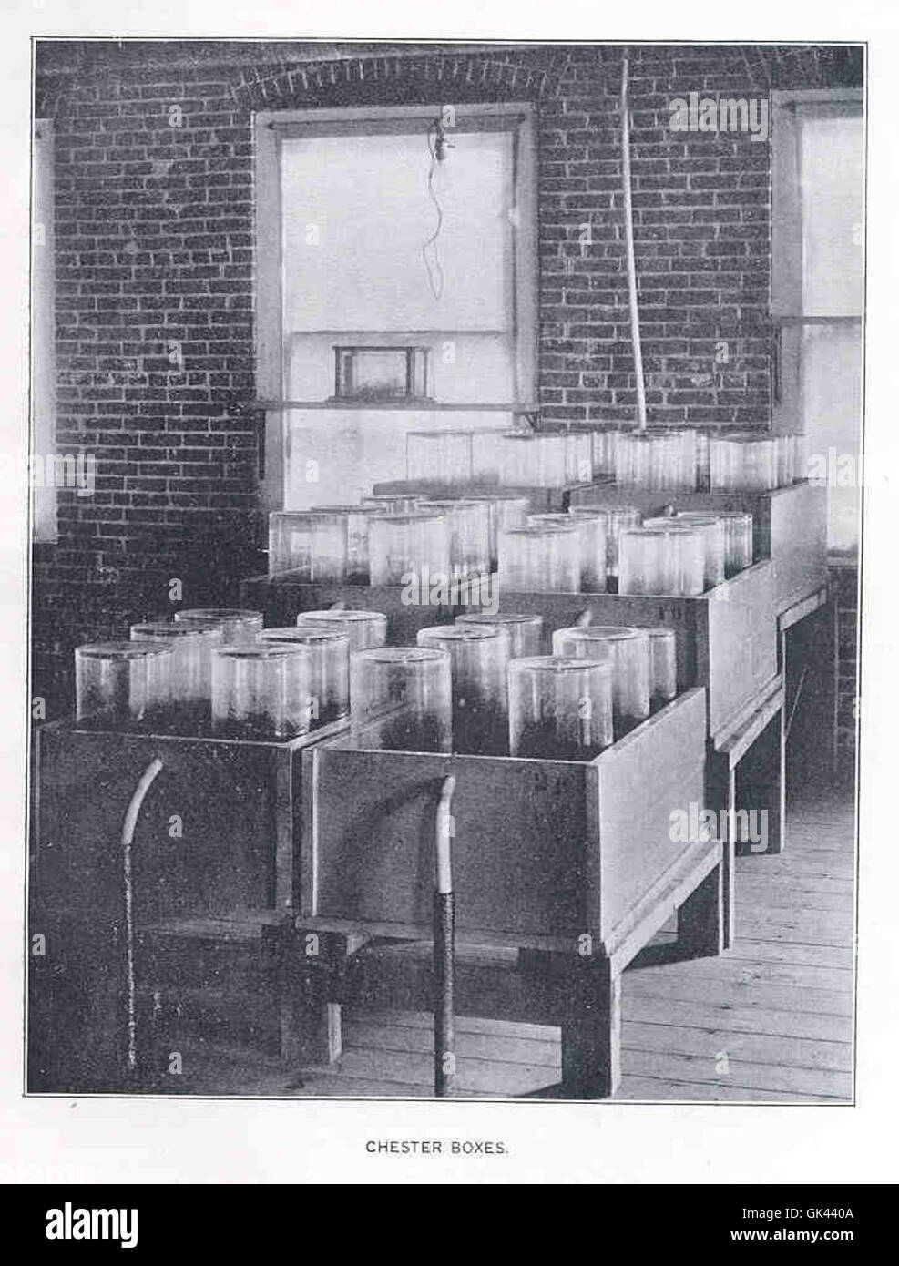 Chester boxes refer to a traditional method of preserving fish by ...