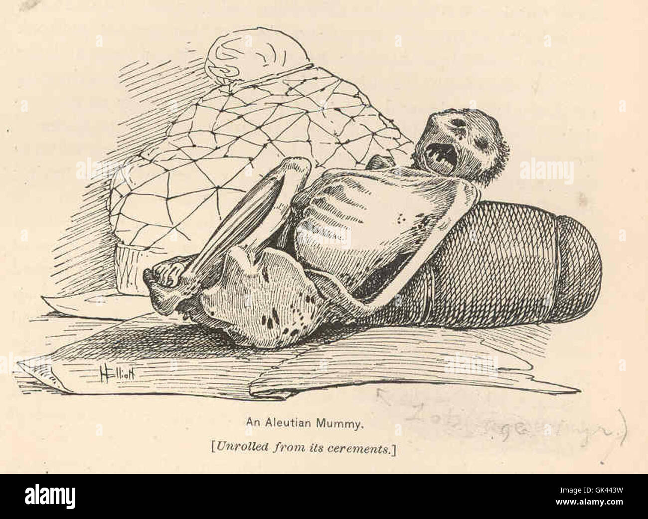 The Aleutian Mummy, a preserved human remains discovered in the ...