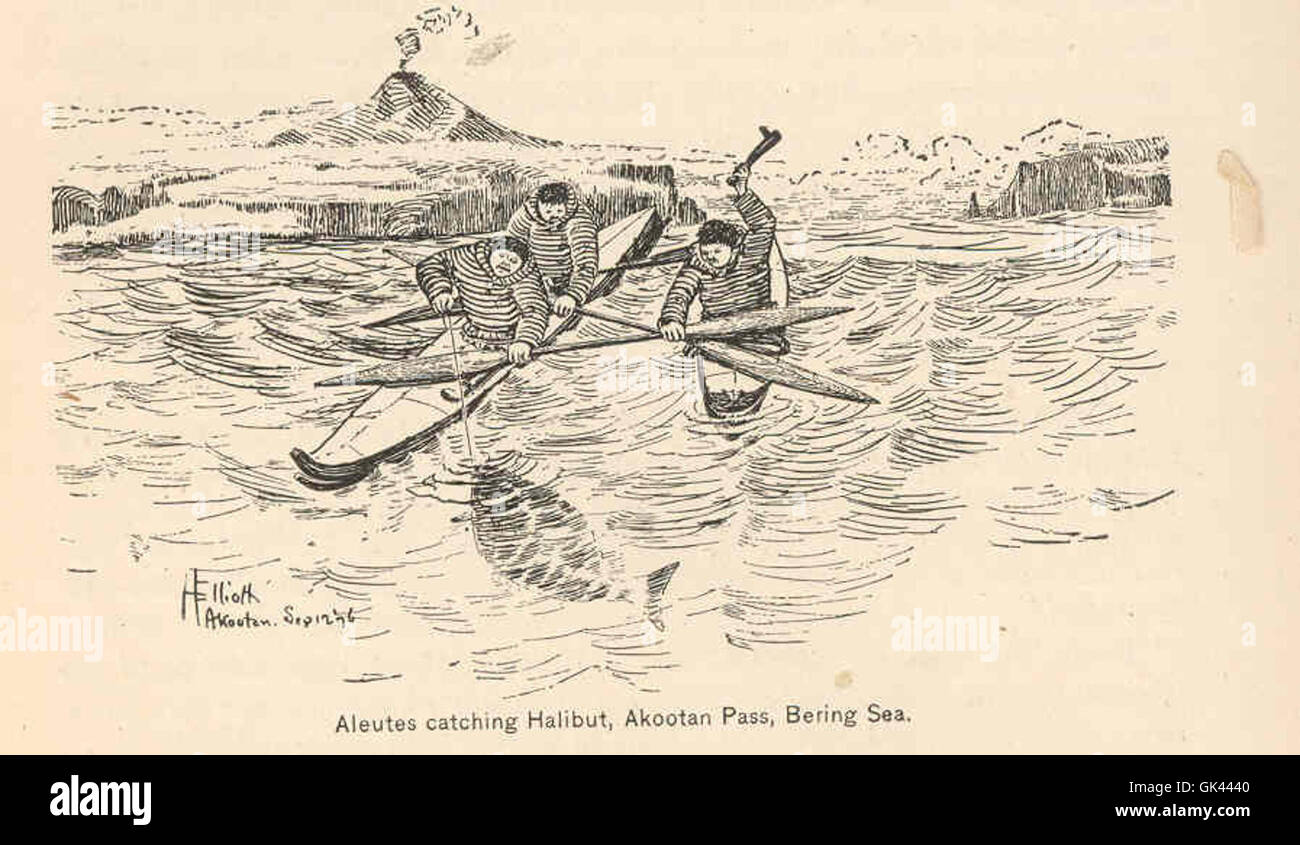 Halibut fishing bering sea hi-res stock photography and images - Alamy