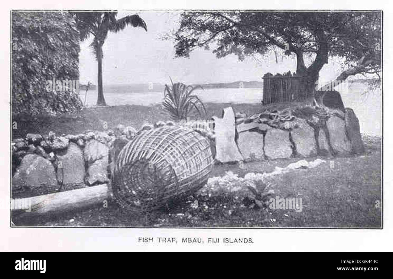 A traditional fish trap from Mbau, Fiji Islands, is shown in this image ...