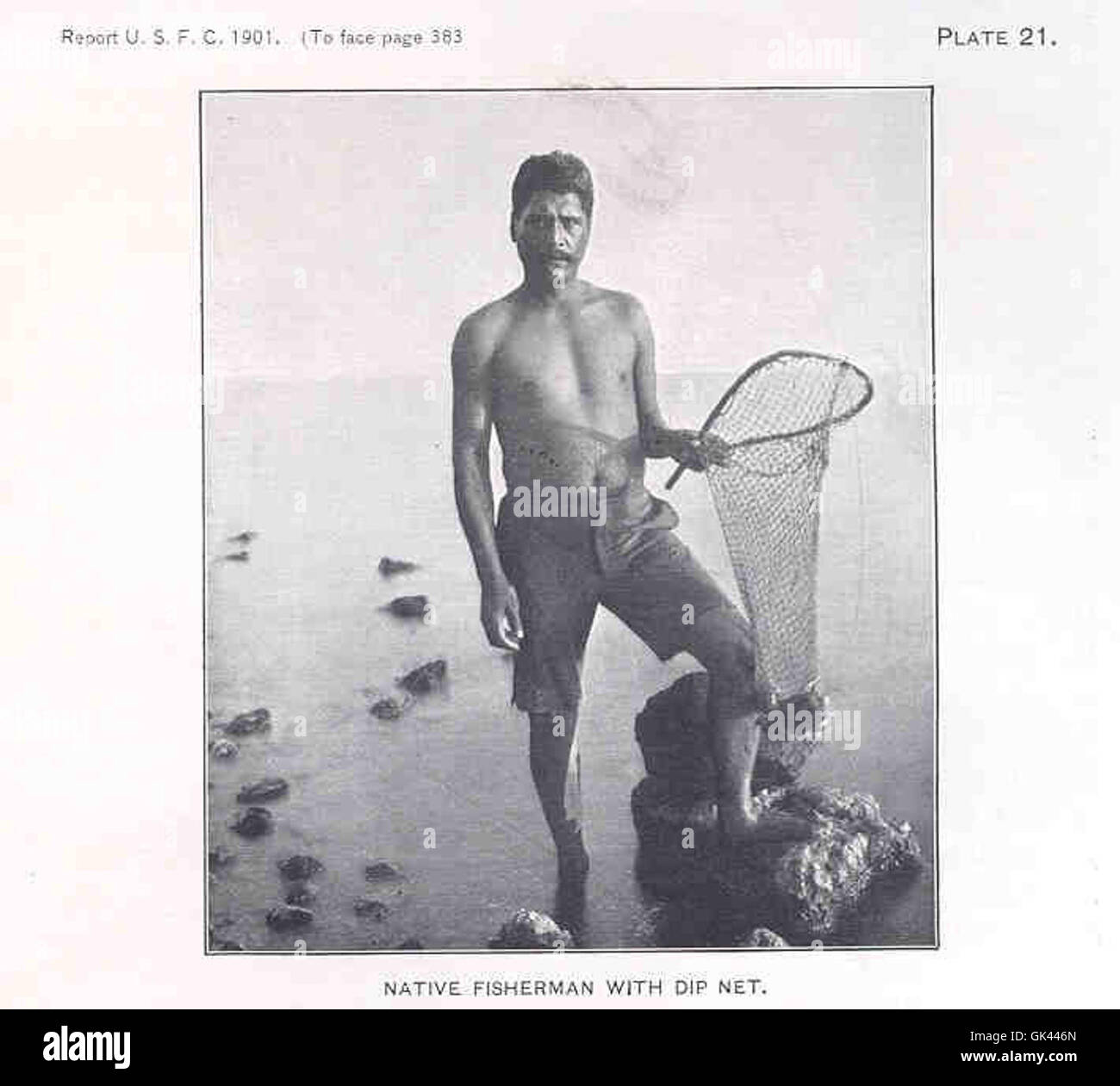 A Native fisherman is shown using a dip net to catch fish. Dip nets are ...