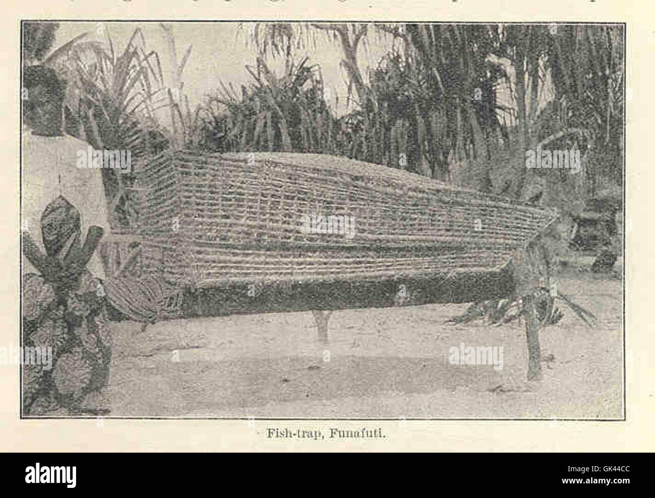 A traditional fish trap located in Funafuti, Tuvalu, used by local ...