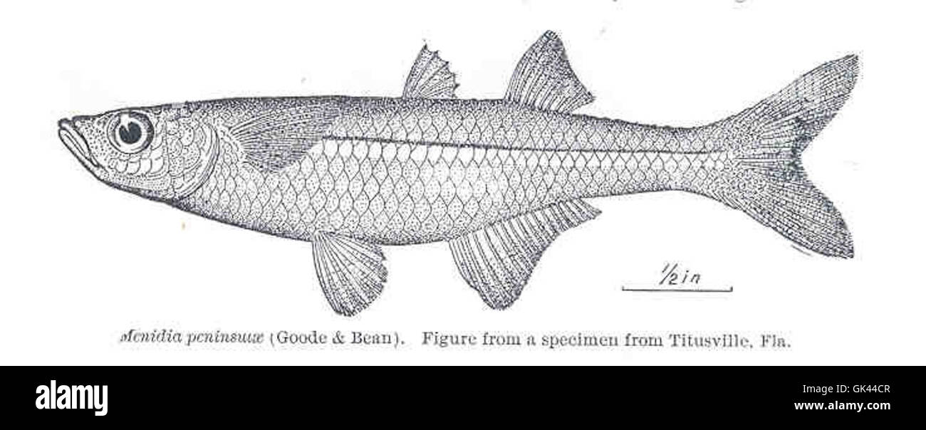 Goode map hi-res stock photography and images - Alamy