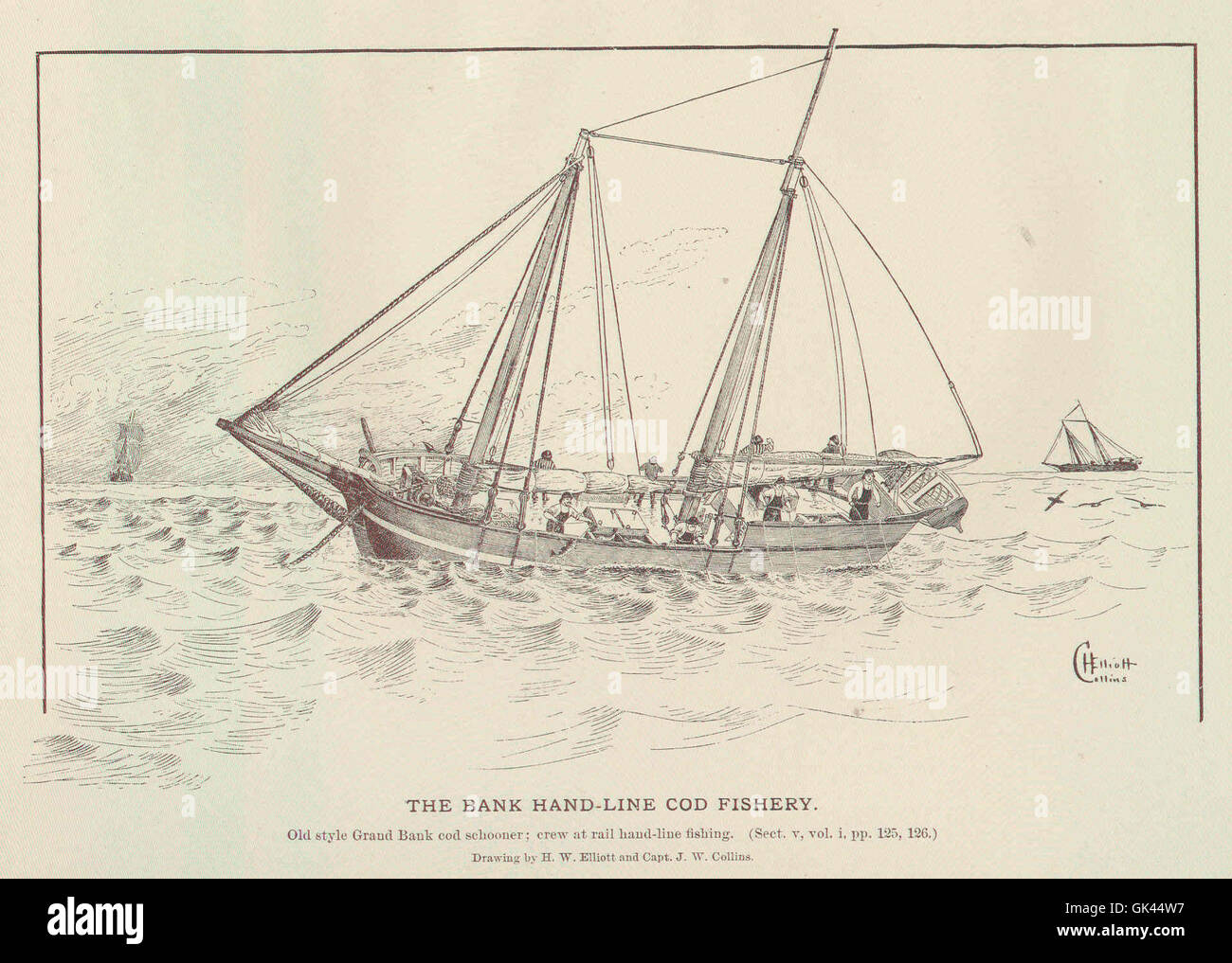 The Band Hand-Line Cod Fishery utilizes handlines to catch cod in the ...