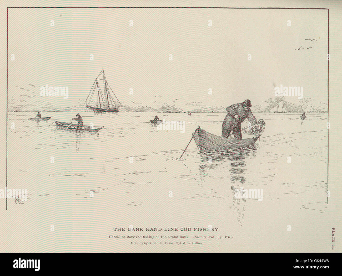 Bank hand-line cod fishery, a traditional fishing method used for cod ...