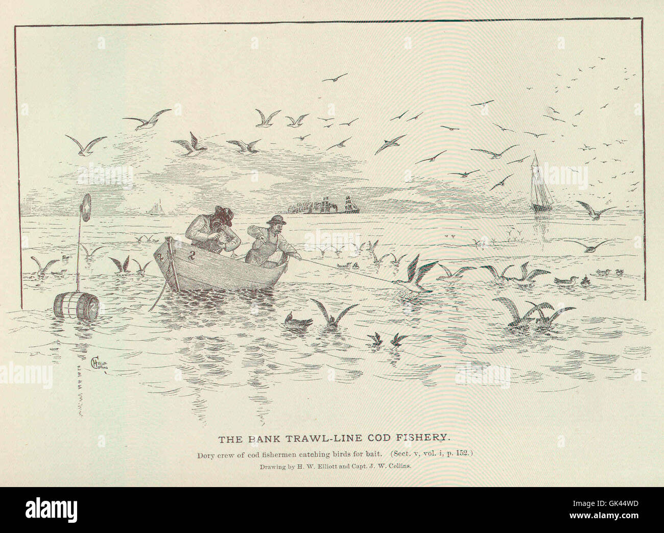 45876 Bank Trawl-Line Cod Fishery Stock Photo - Alamy