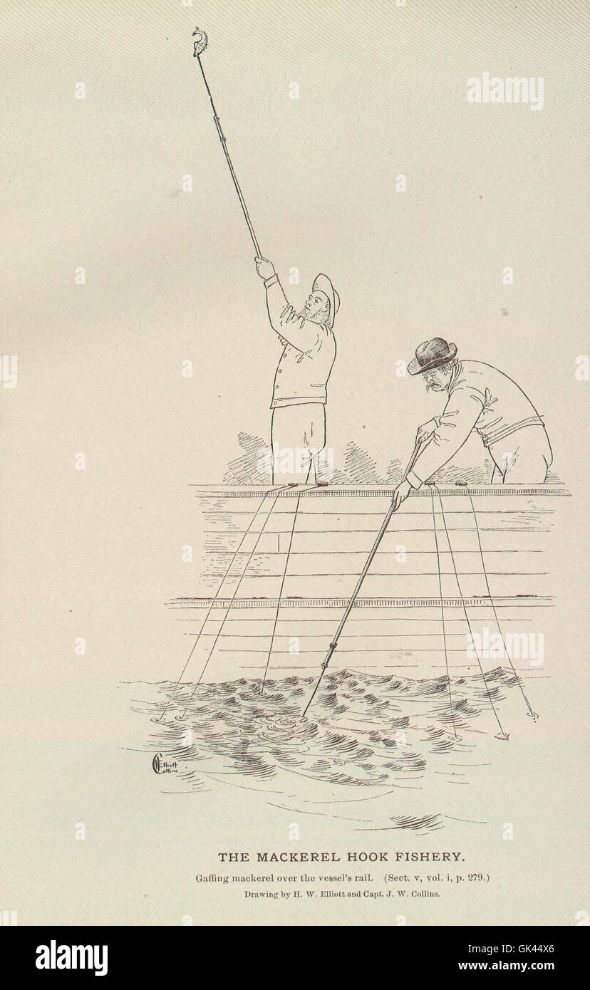 The Mackerel Hook Fishery is a fishing method primarily used to catch ...