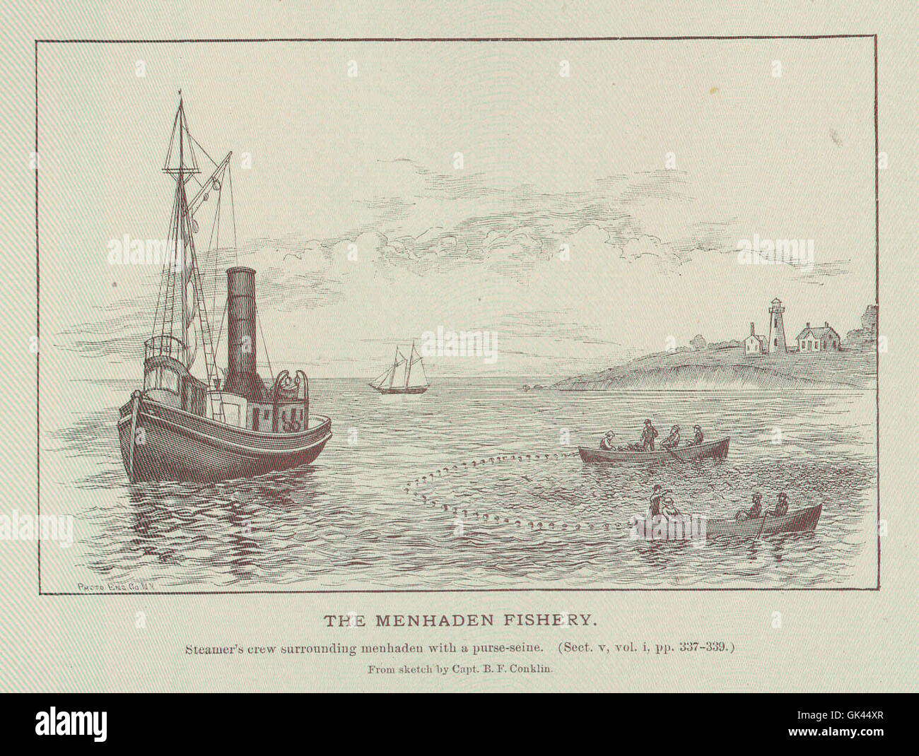 The menhaden fishery is shown here, highlighting the harvesting of ...