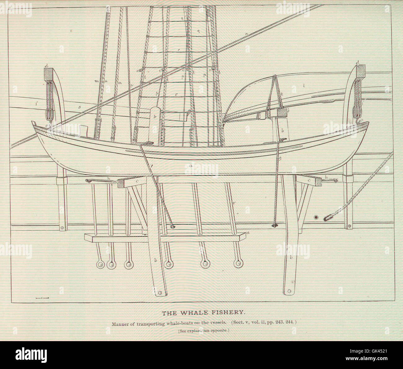 Whale fishing, historically a major industry, involved hunting whales ...