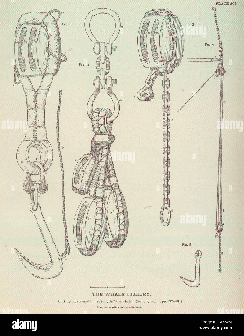Whale fishery refers to the practice of hunting whales for their ...