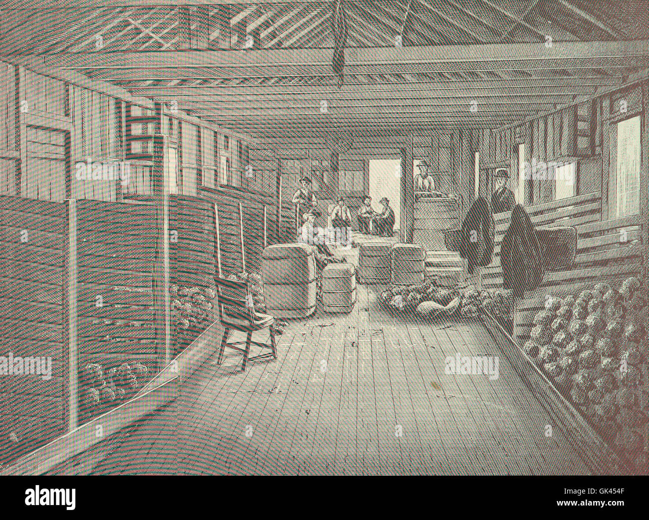 The sponge industry, focused on harvesting and processing sponges, is ...