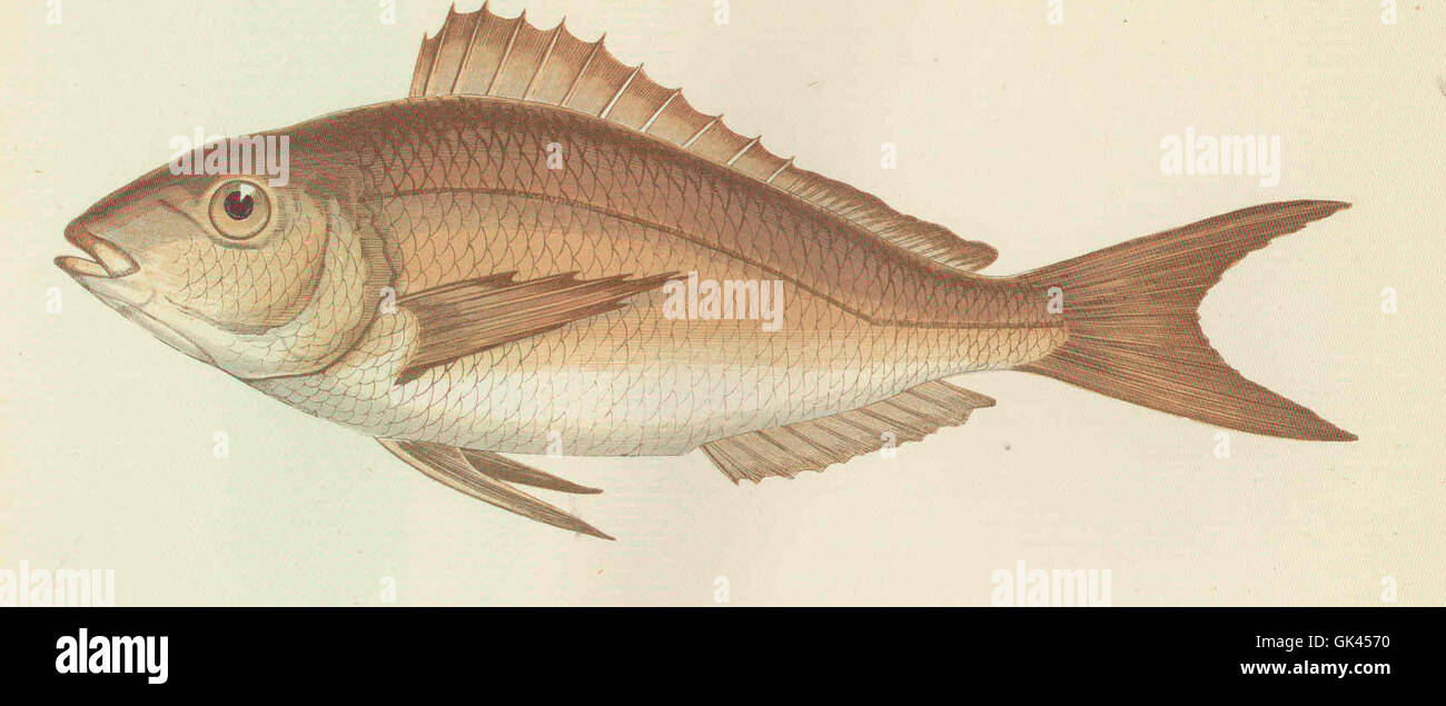 46084 hi-res stock photography and images - Alamy