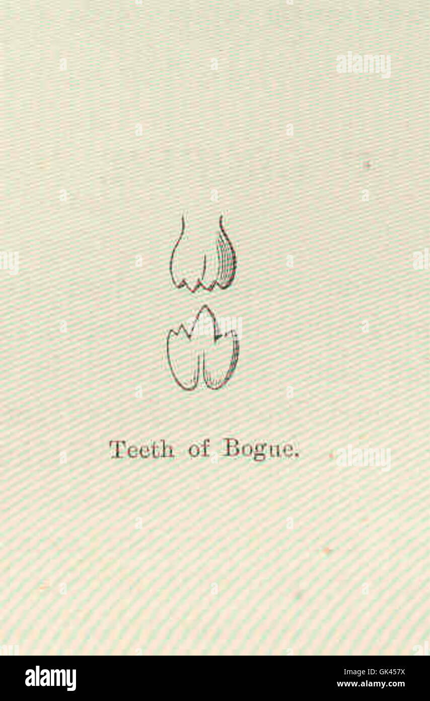 Map of bogue hi-res stock photography and images - Alamy