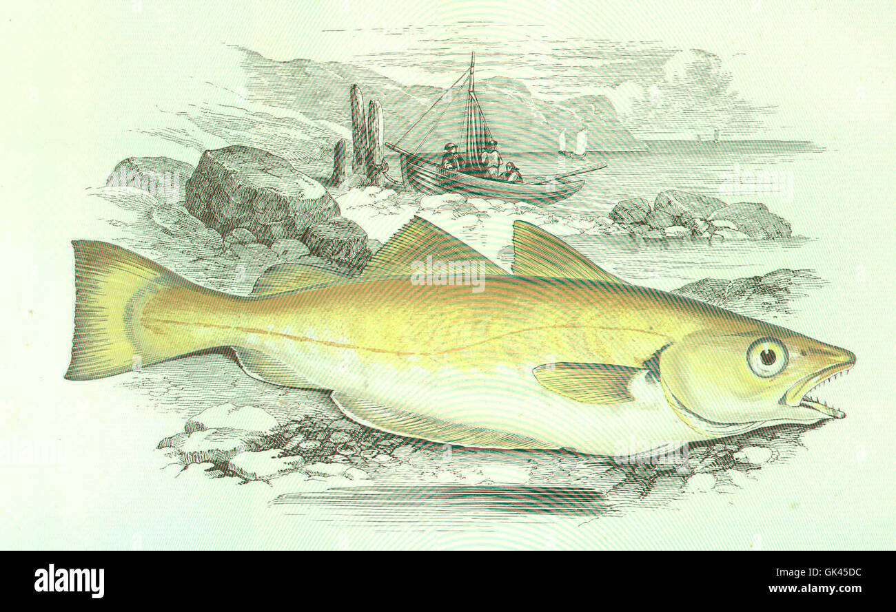 Map of whiting hi-res stock photography and images - Alamy