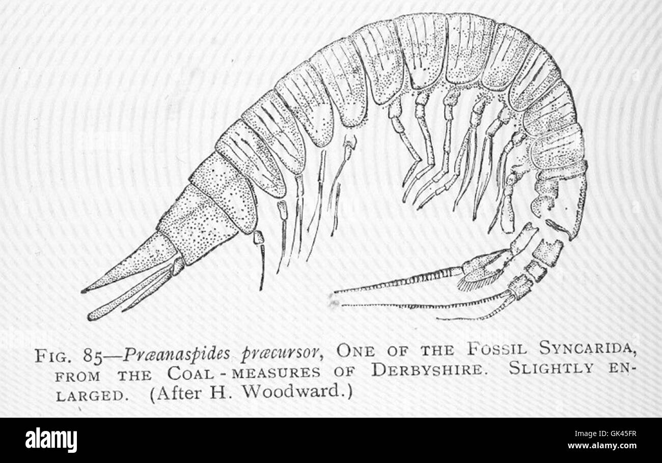 Map of fossil Black and White Stock Photos & Images - Alamy