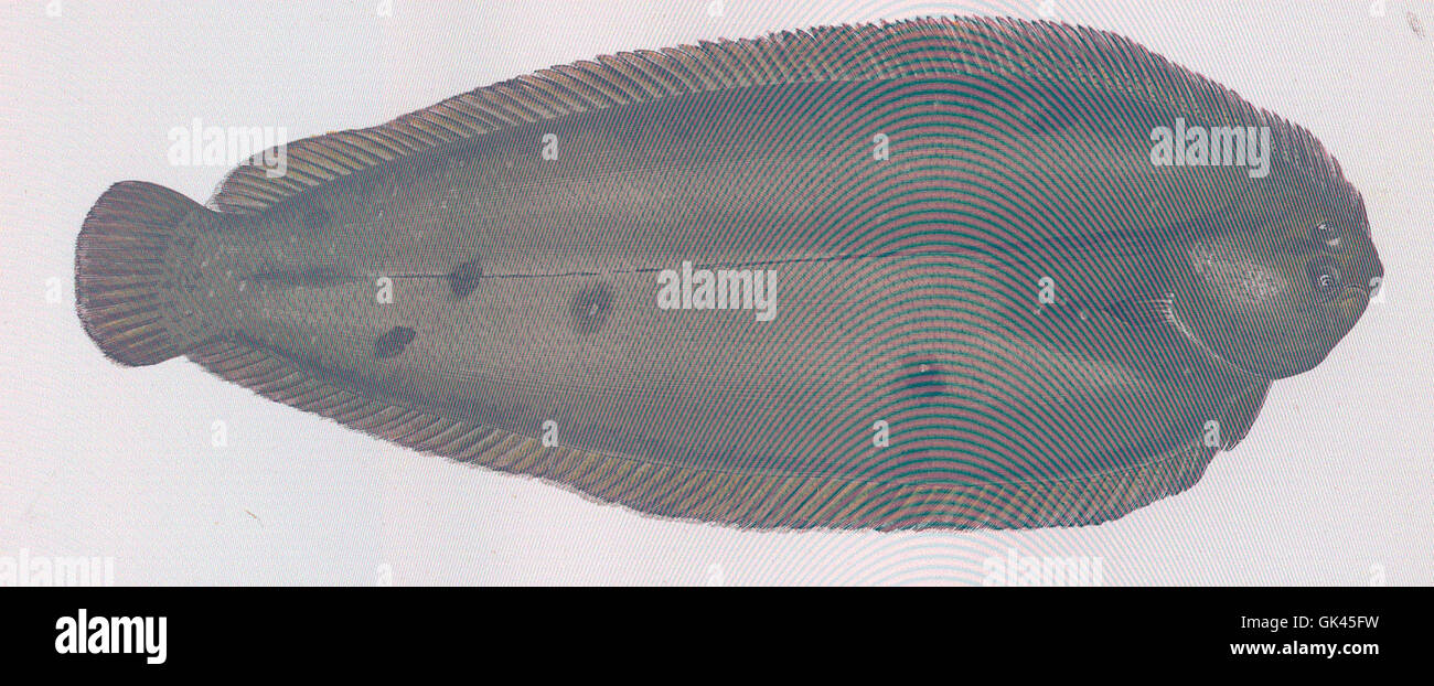 Shallow and deep hi-res stock photography and images - Alamy