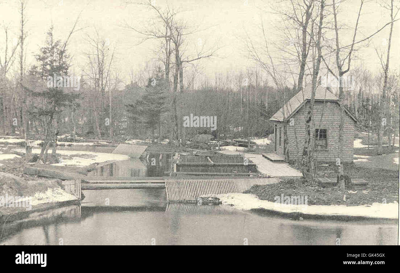 This image depicts racks and pens used to capture and hold salmon and ...