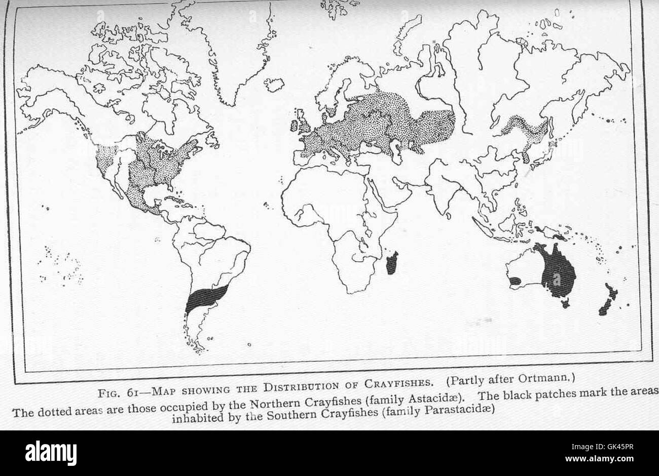 This map shows the distribution of crayfishes across different regions ...