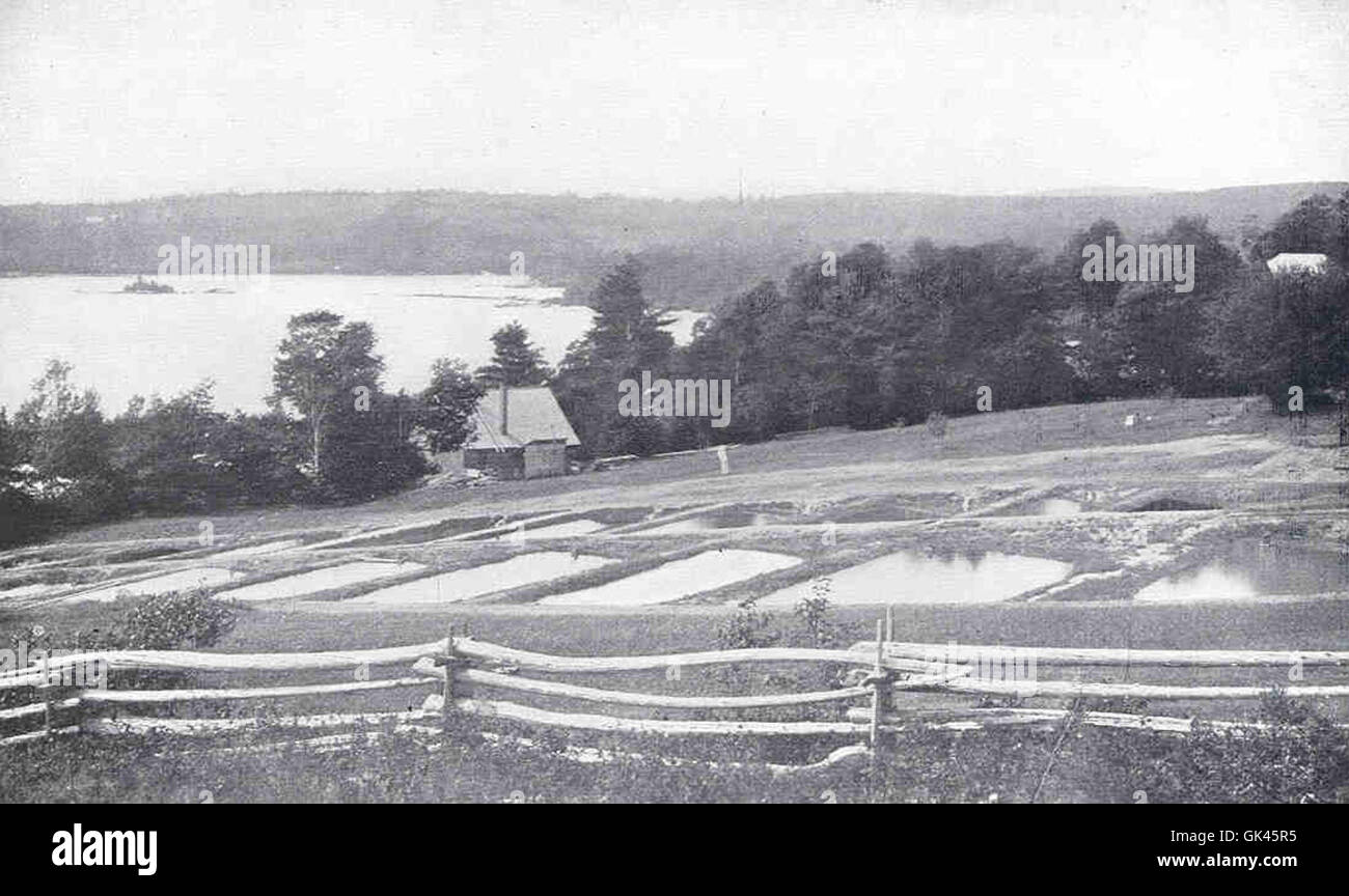Rearing ponds are shown with Lake Alamoosook in the background, used ...