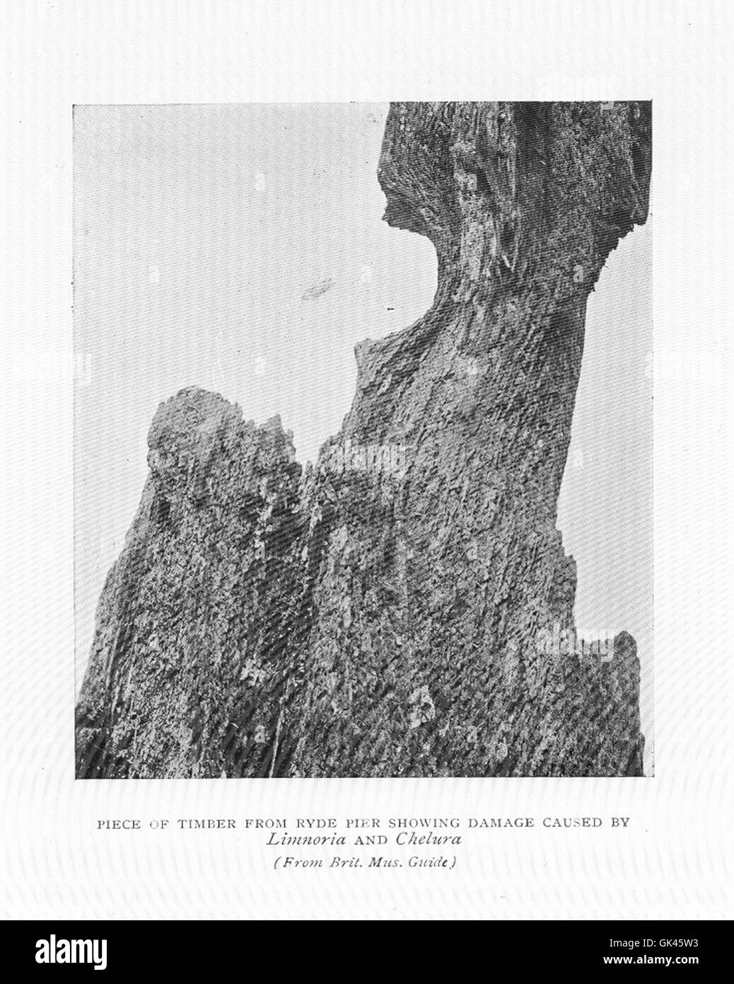 Timber structures Cut Out Stock Images & Pictures - Alamy