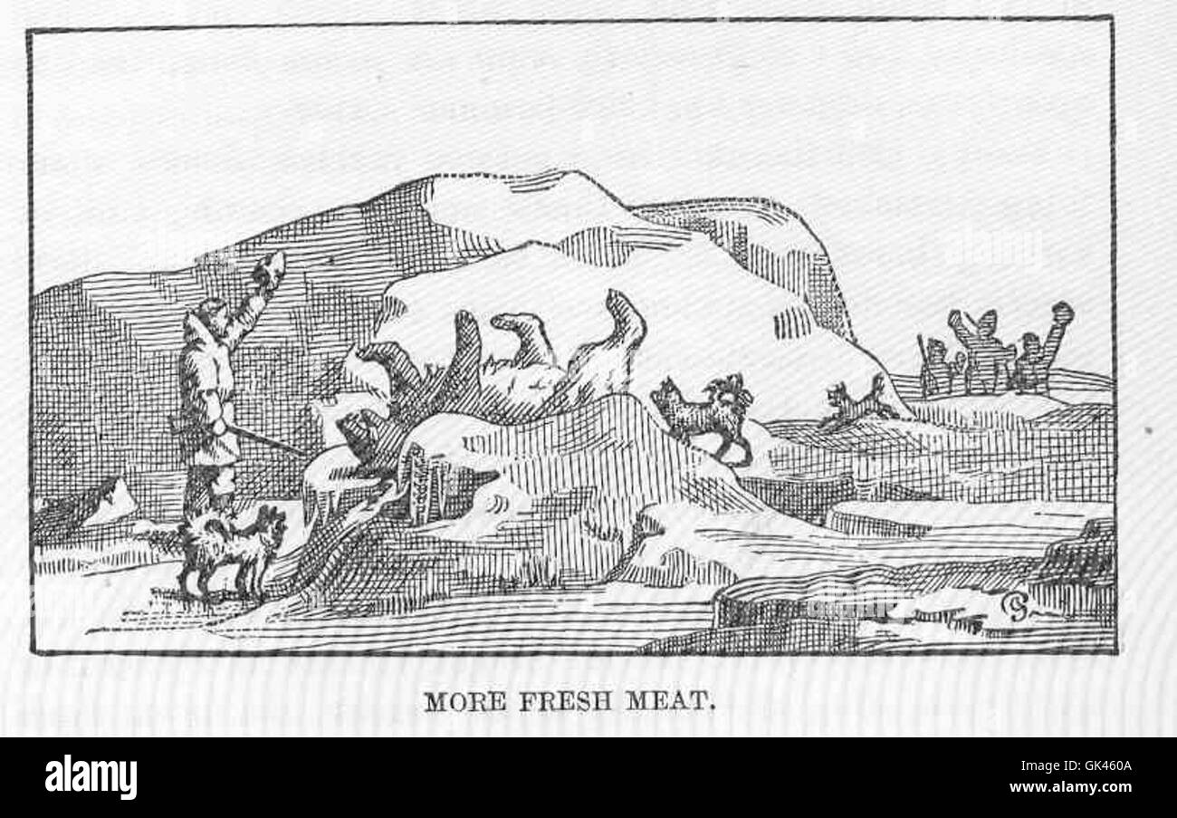 This image shows a collection of fresh meat, likely from a recent ...