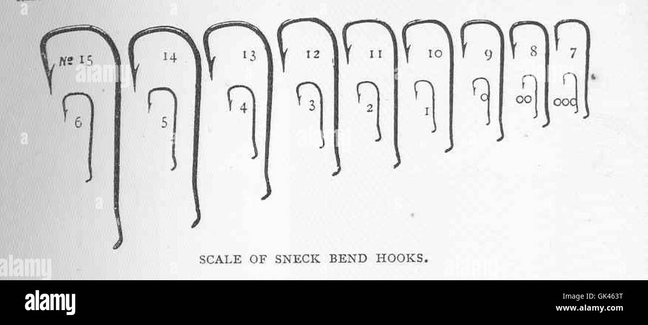 A technical description of the Pennell-eyed snell-bend hook scale ...