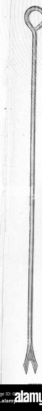 Disgorger hi-res stock photography and images - Alamy