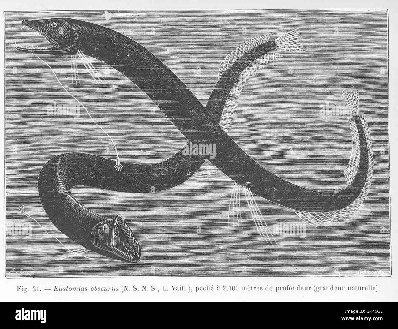 Obscurus books hi-res stock photography and images - Alamy