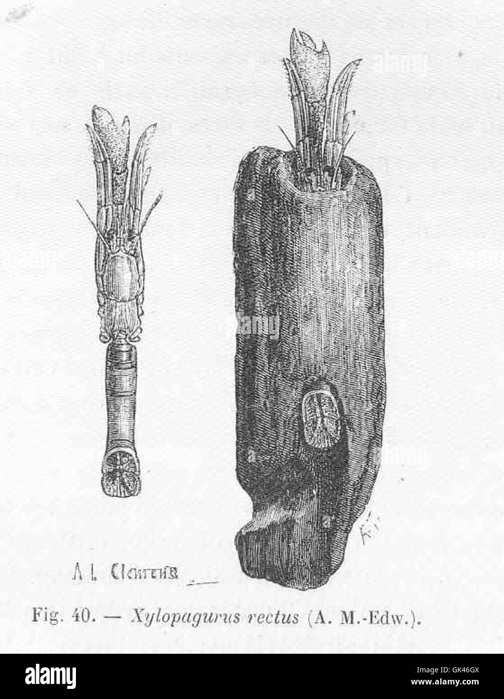 Eds font hi-res stock photography and images - Alamy