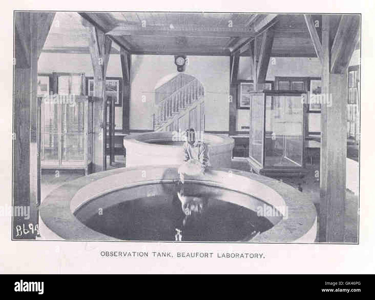 The observation tank at Beaufort Laboratory is used for studying marine ...