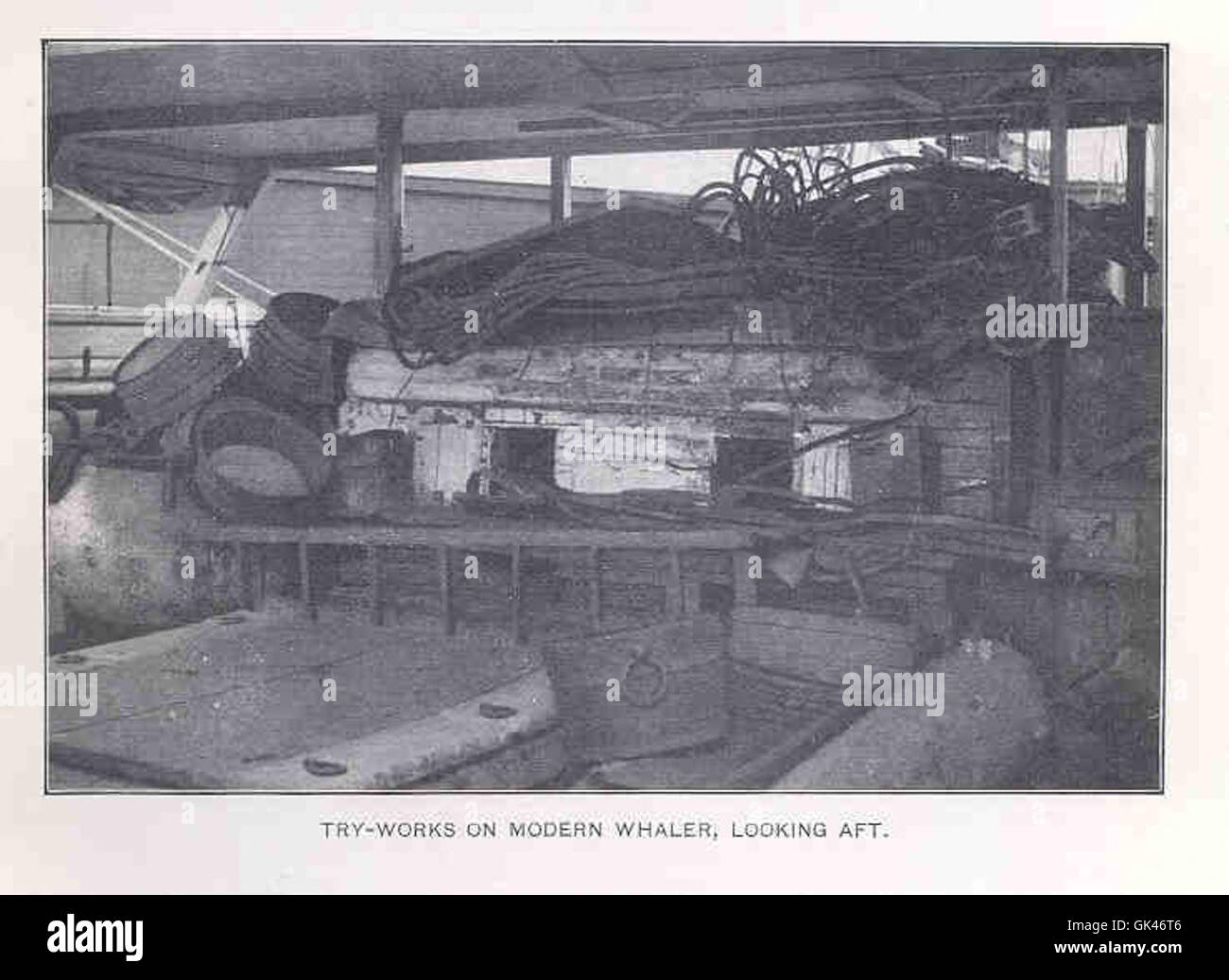 Whale oil products hi-res stock photography and images - Alamy