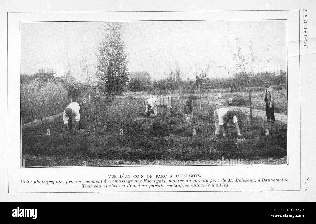 A view of a corner of a snail park, likely a dedicated area for ...