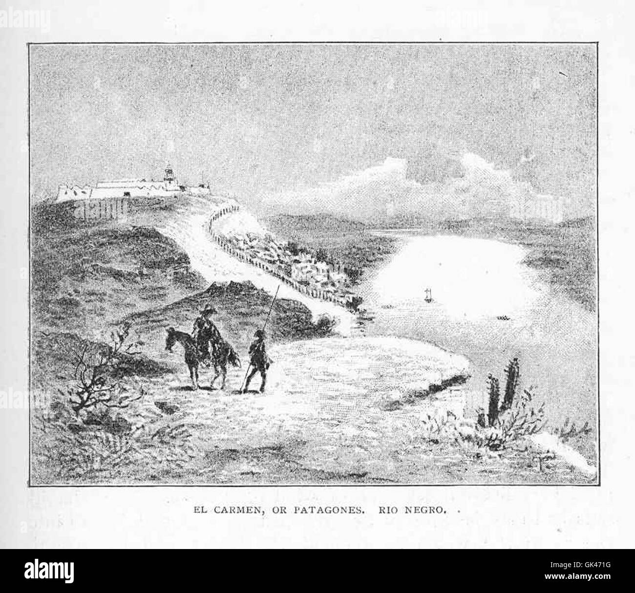 Patagones High Resolution Stock Photography and Images - Alamy