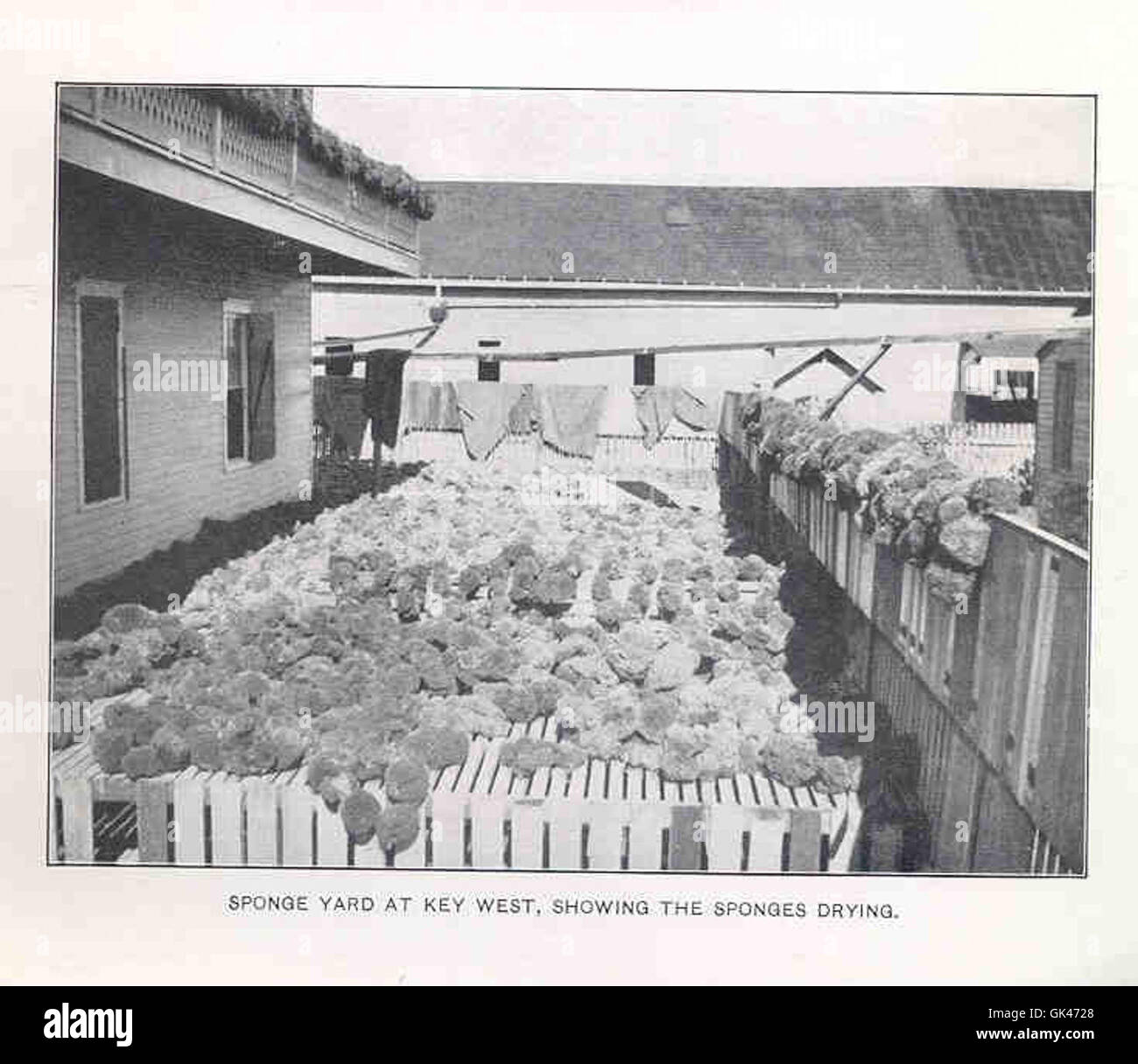 The Sponge Yard at Key West is depicted, showing the traditional ...