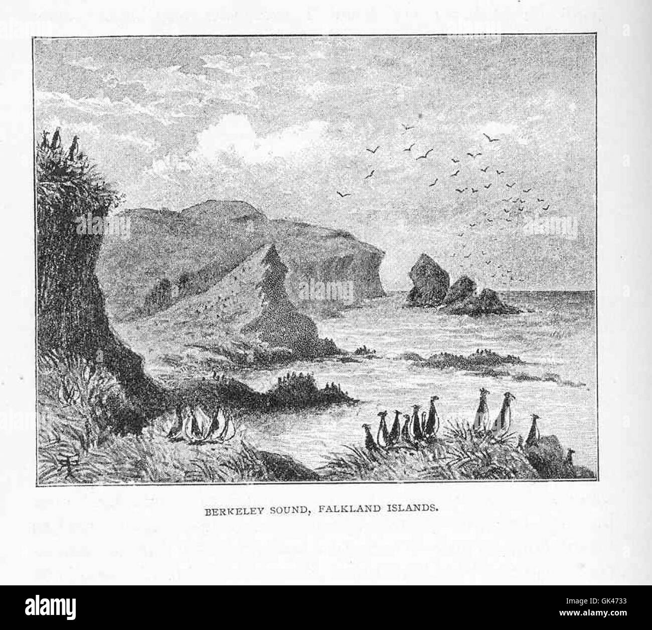 Vintage map of the falkland islands Black and White Stock Photos ...