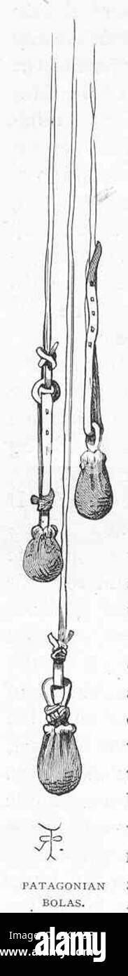 The Patagonian Bolas is a fishing tool traditionally used by indigenous ...