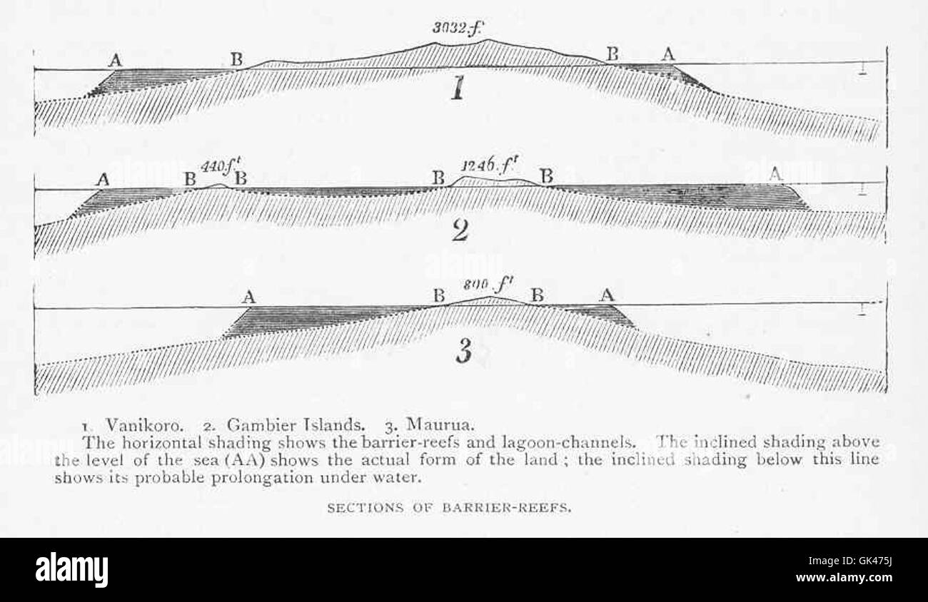 This illustration shows cross-sectional views of barrier reefs ...