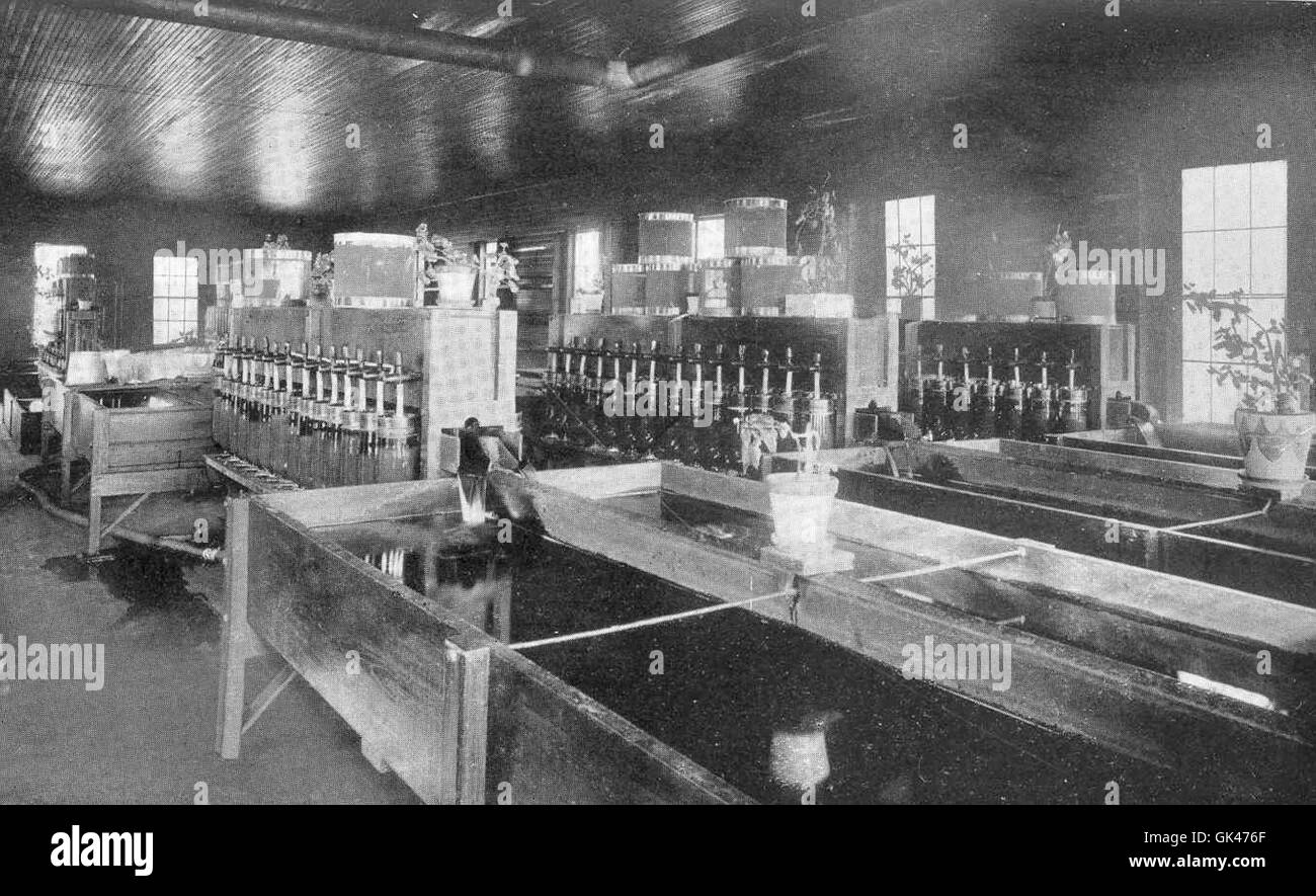 The interior of the Oneida Hatchery in Constantia, photographed in 1912 ...