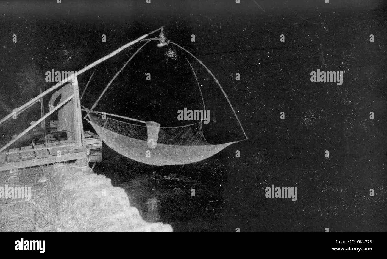 This image depicts dip net fishing at night for pike perch in ...