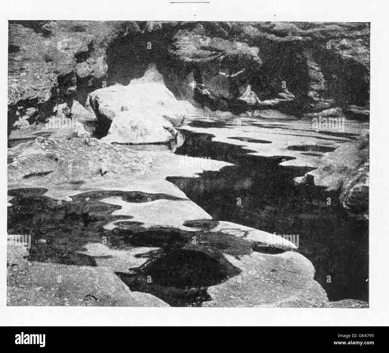 This image shows tide pools in different stages of development along a ...