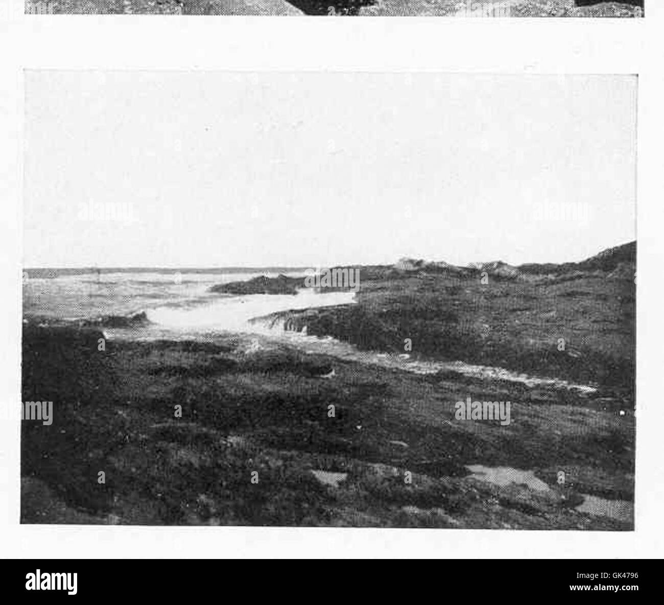 Tide pools formed in shale are unique coastal features created by the ...