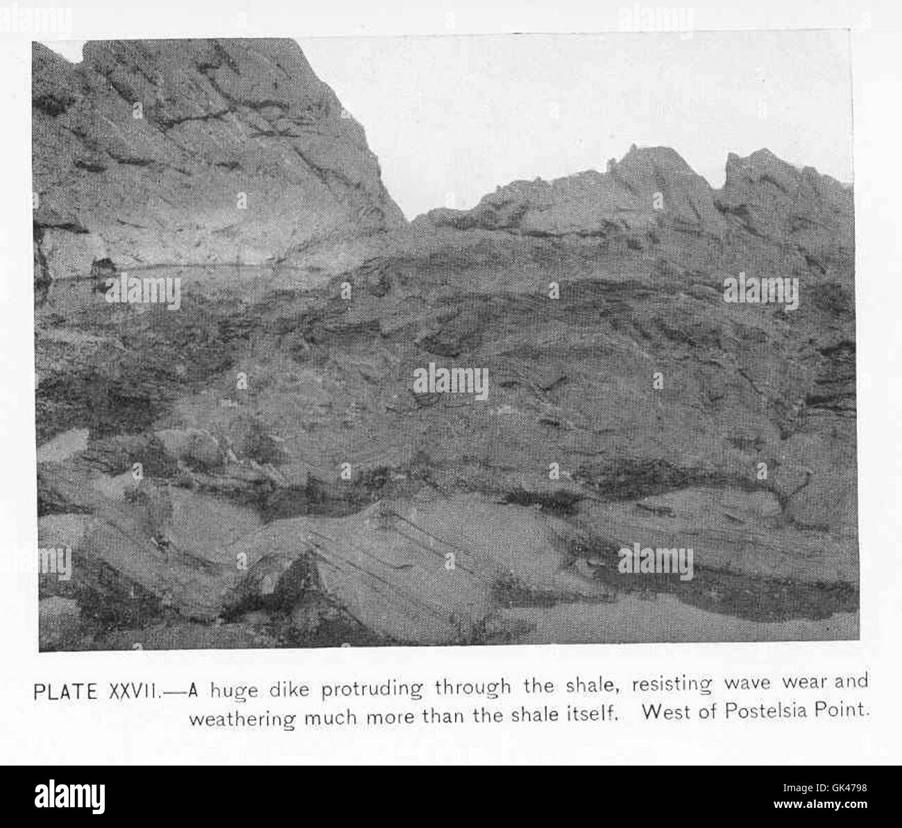 A massive dike protrudes through the shale near Postelsia Point ...
